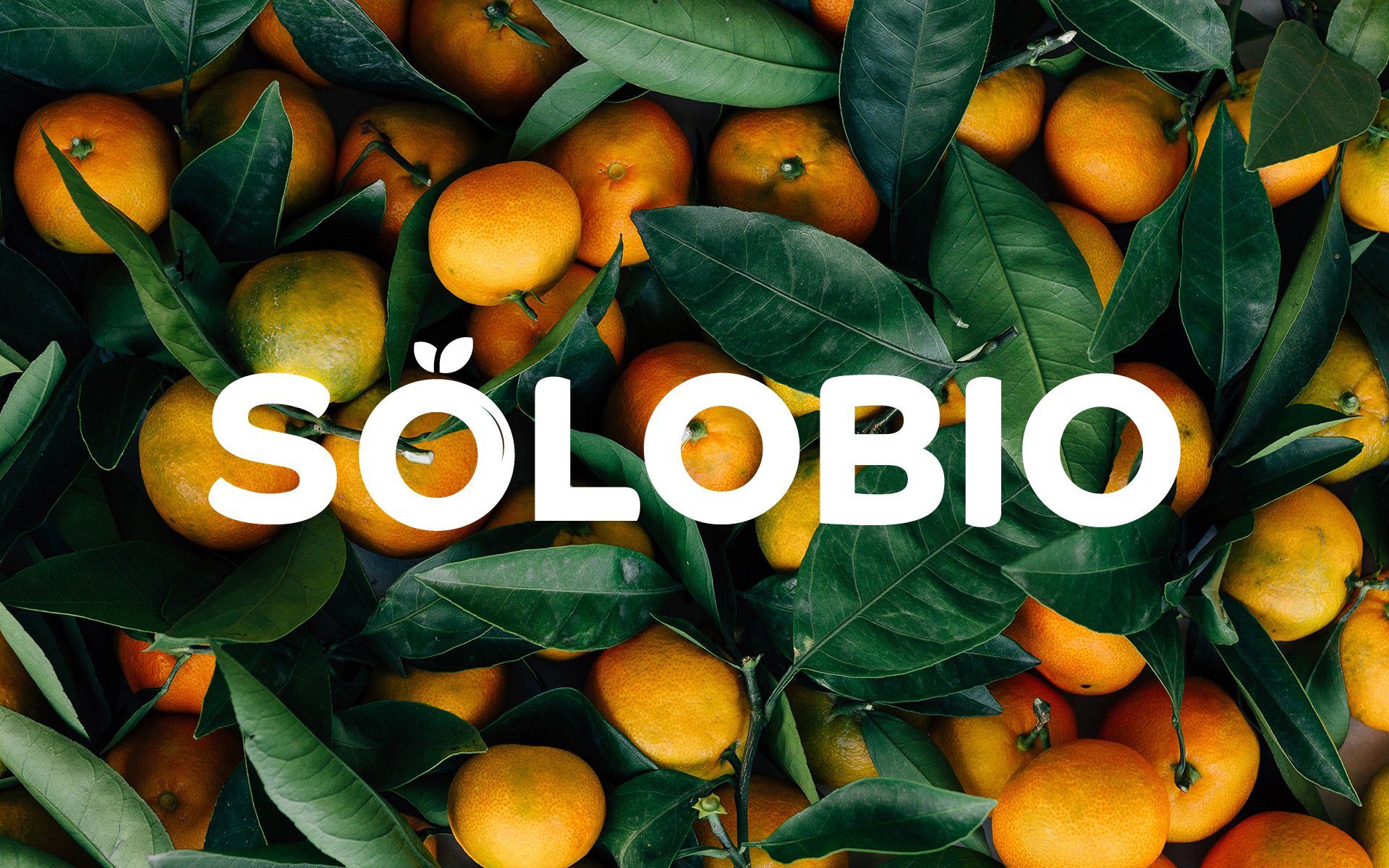 OurStudio — Solobio